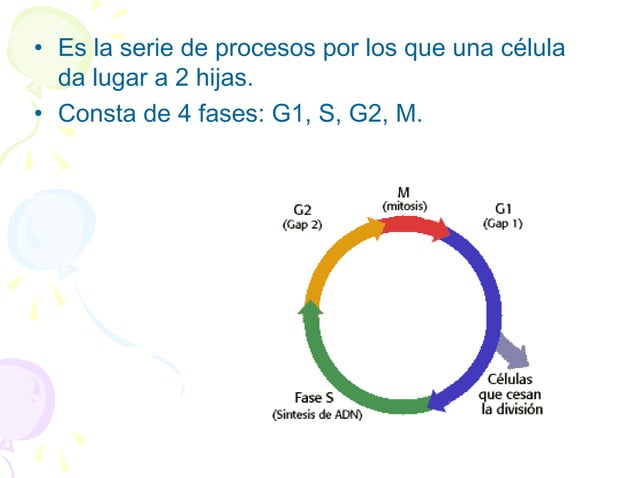 Control del ciclo celular | PPT