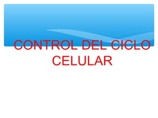 Control del ciclo celular y cancer 4 medio | PPT