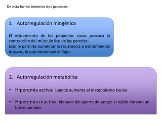 Control del flujo sanguineo abs | PPTX