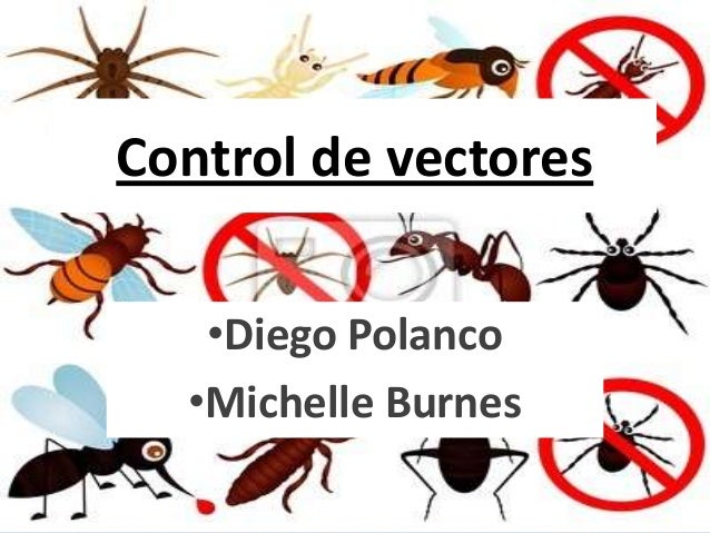 Control de vectores