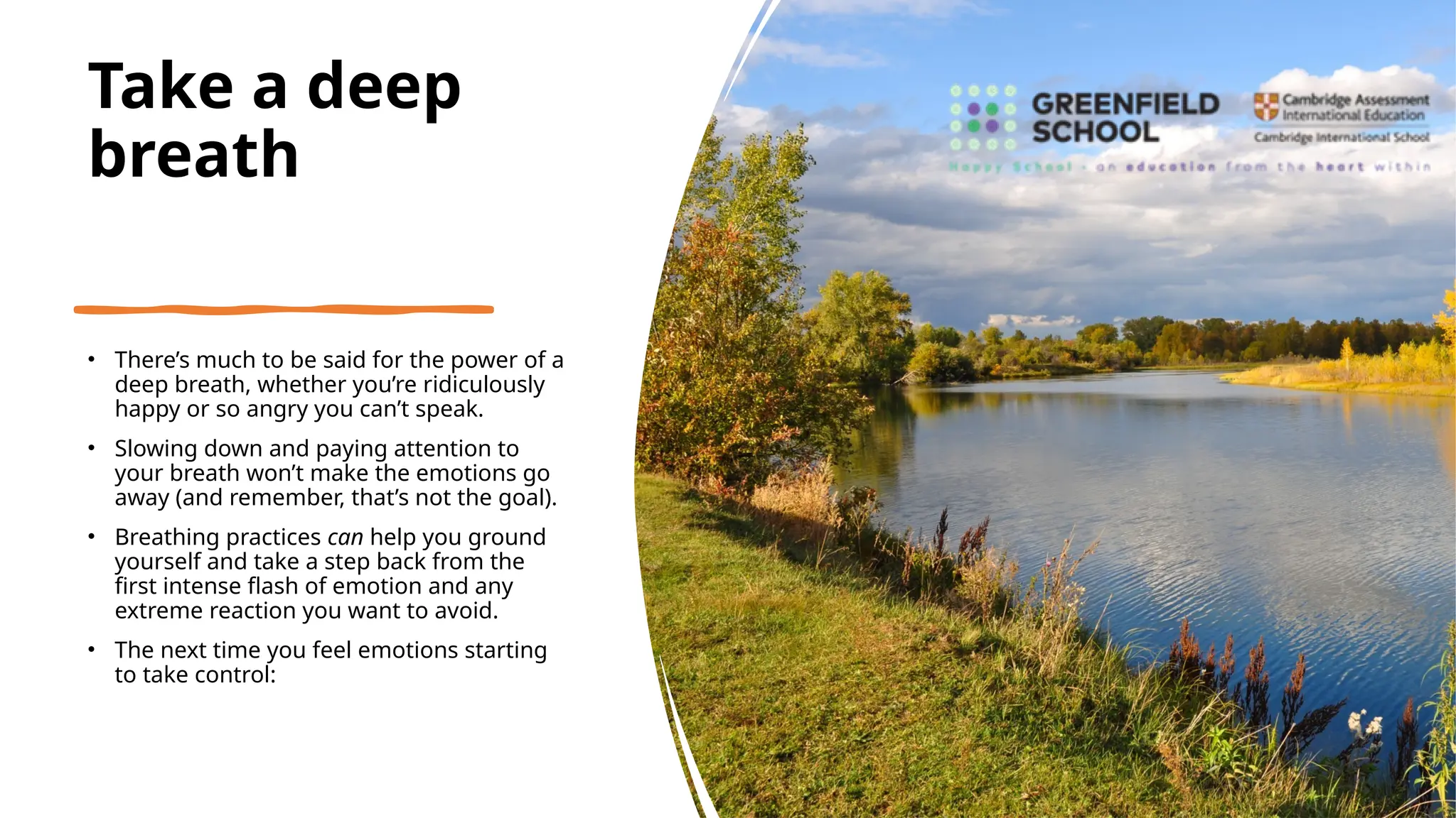 control emotions, a guide for young students | PPTX