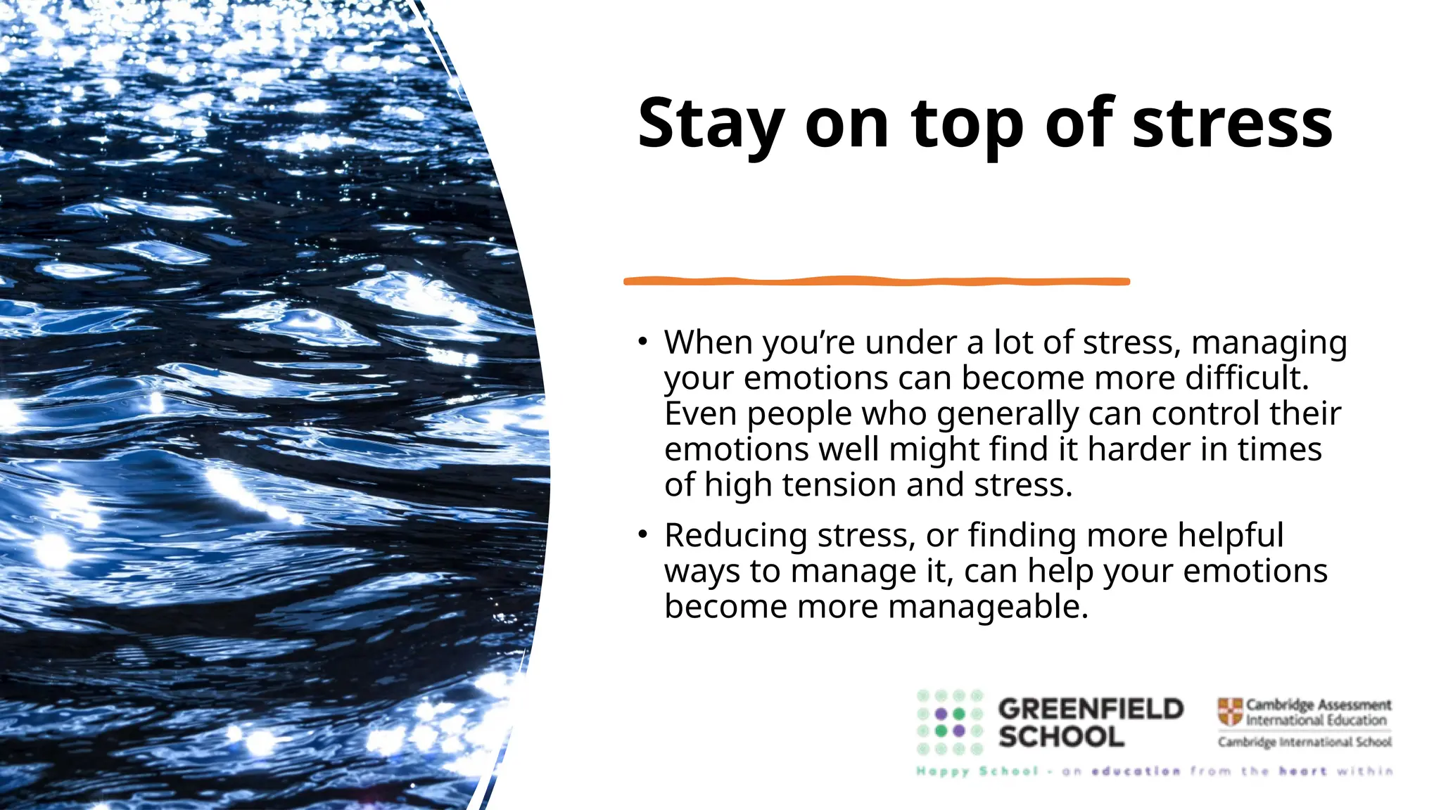 control emotions, a guide for young students | PPTX