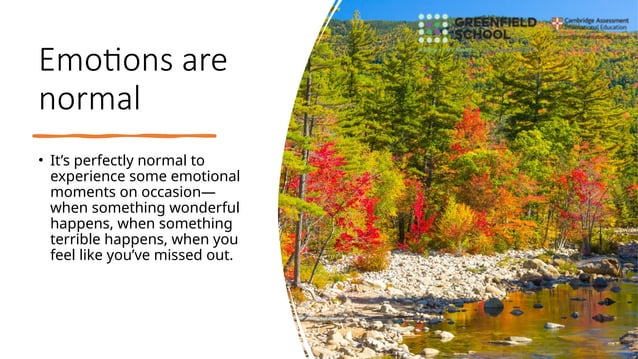 control emotions, a guide for young students | PPTX