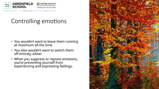 control emotions, a guide for young students | PPTX