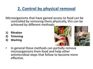 Control of microorganisms in food | PPT