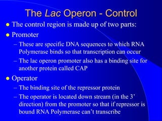 Controling-Gene-Expression-operon-types of regulation..ppt