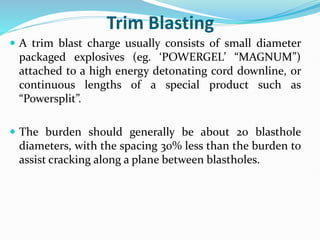 Controlled Blasting_082055.pdf