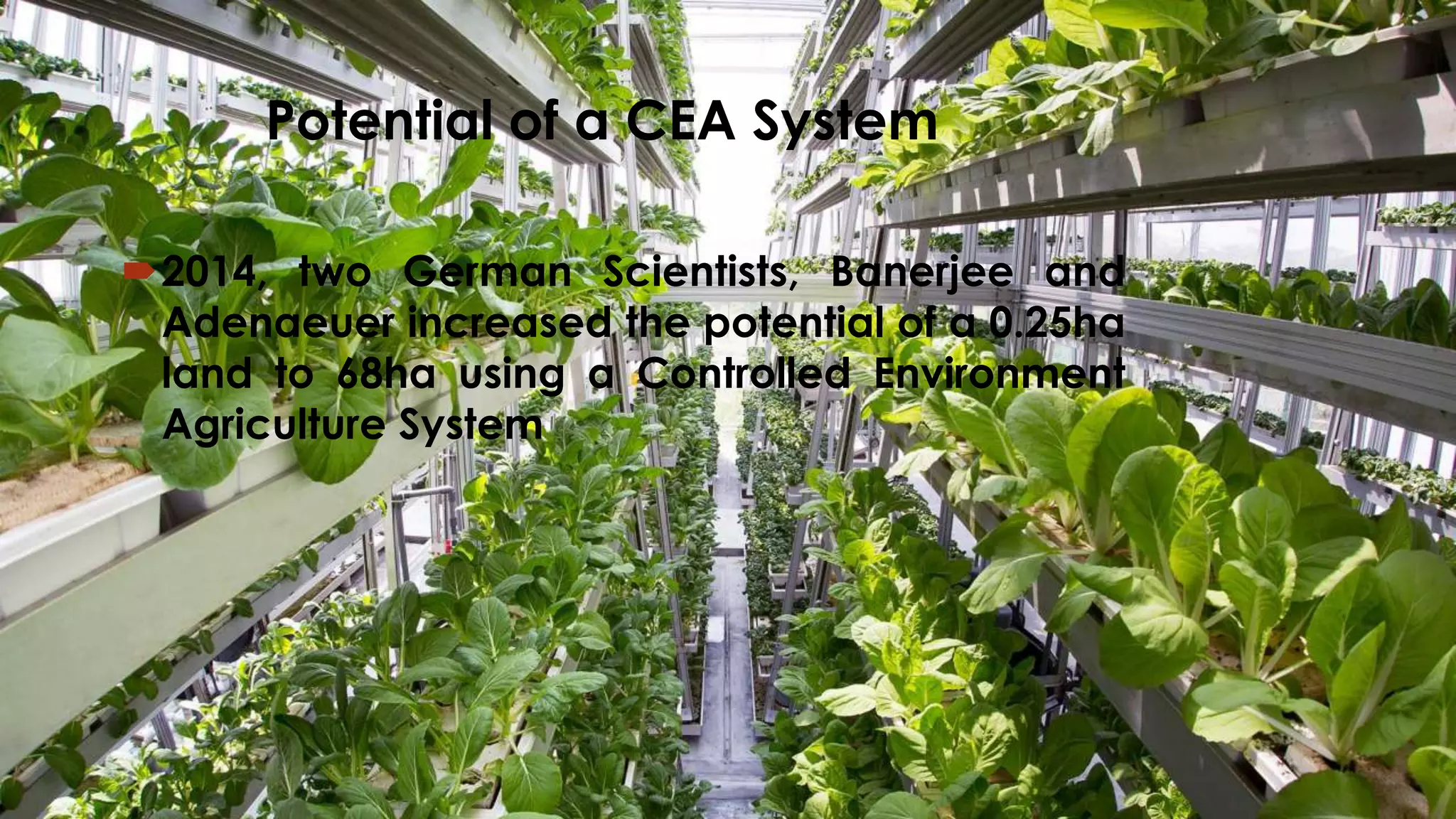 Controlled Environment Agriculture by Busari and Lawal | PPTX ...