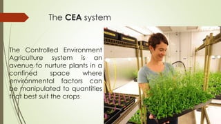 Controlled Environment Agriculture by Busari and Lawal | PPTX ...