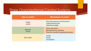 Organizational controlling | PPT