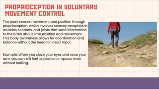 controlling-movement.pdf VsdvsCsascasacasc | PPT | Free Download