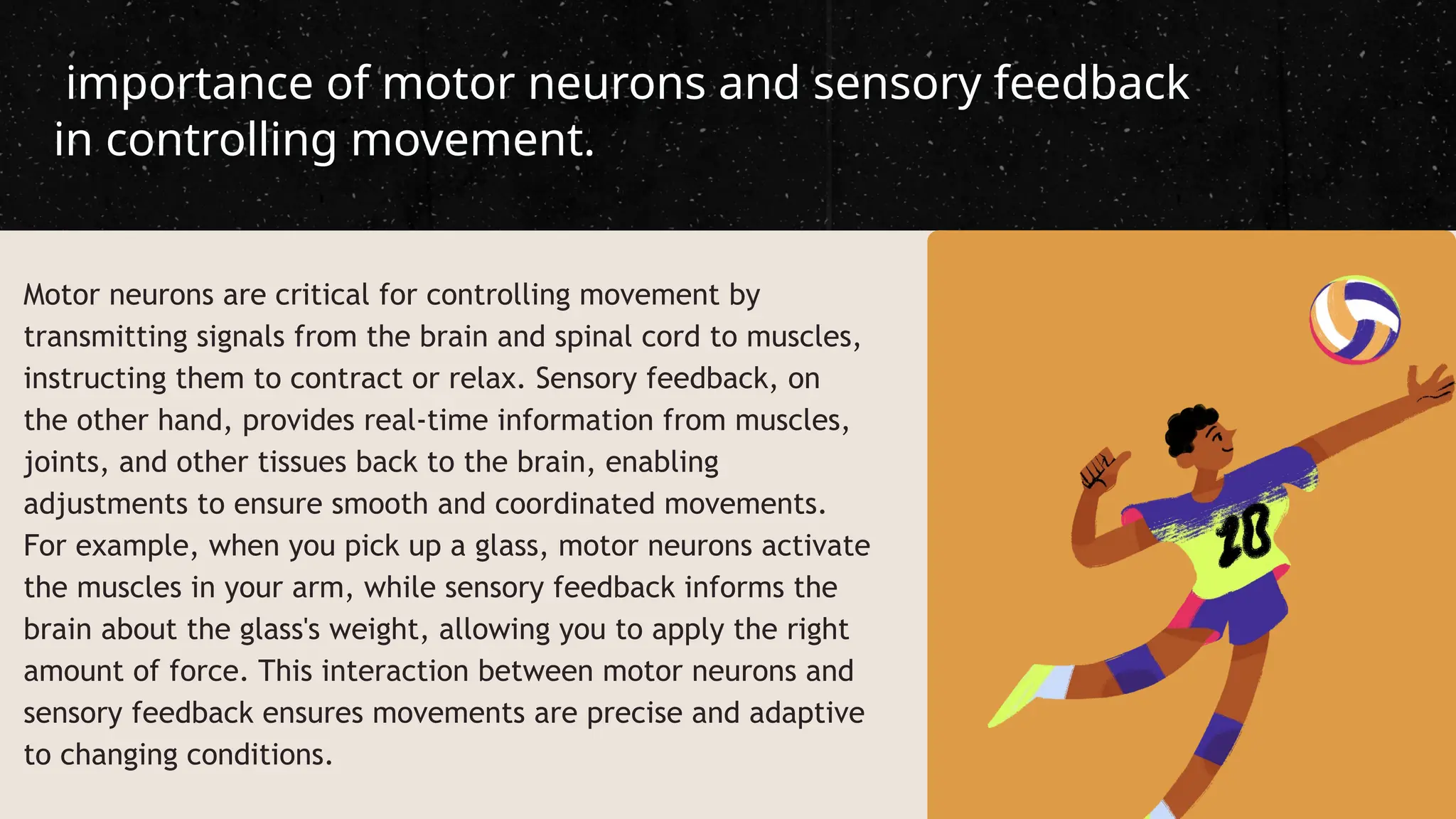 controlling-movement.pptx physical education | PPTX