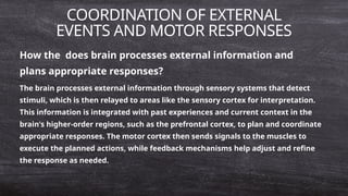 controlling-movement.pptx physical education | PPTX | Physical Therapy ...