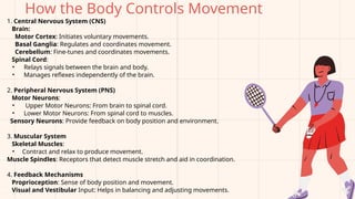 controlling-movement.pptx physical education | PPTX