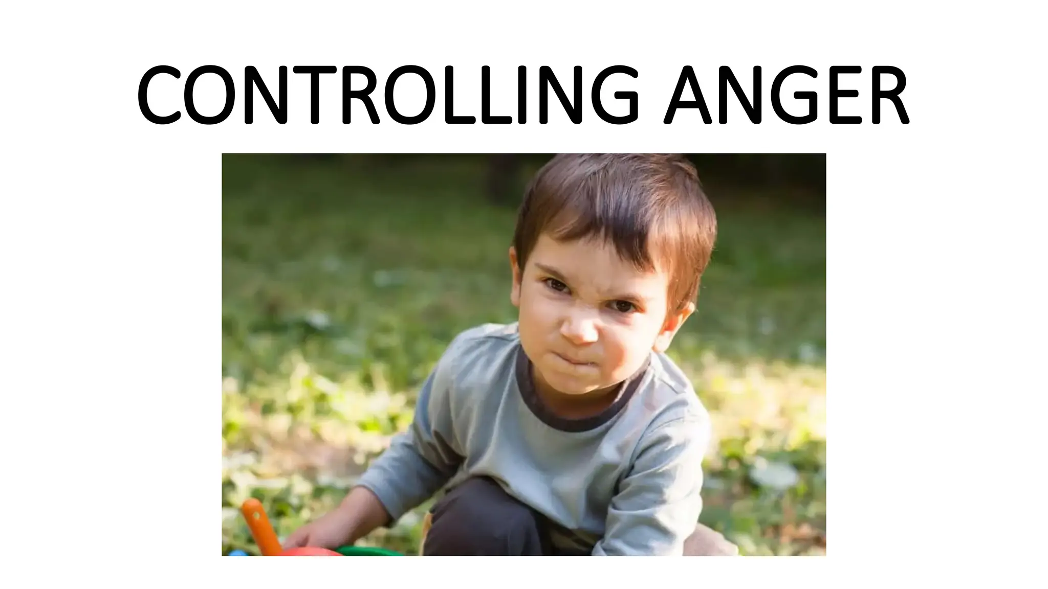 CONTROLLING ANGER short story with moral.pptx