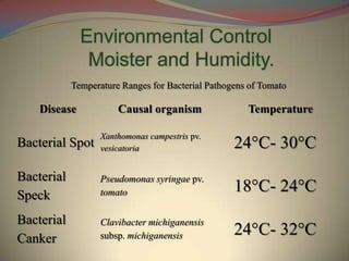 Controlling bacterial canker | PPTX