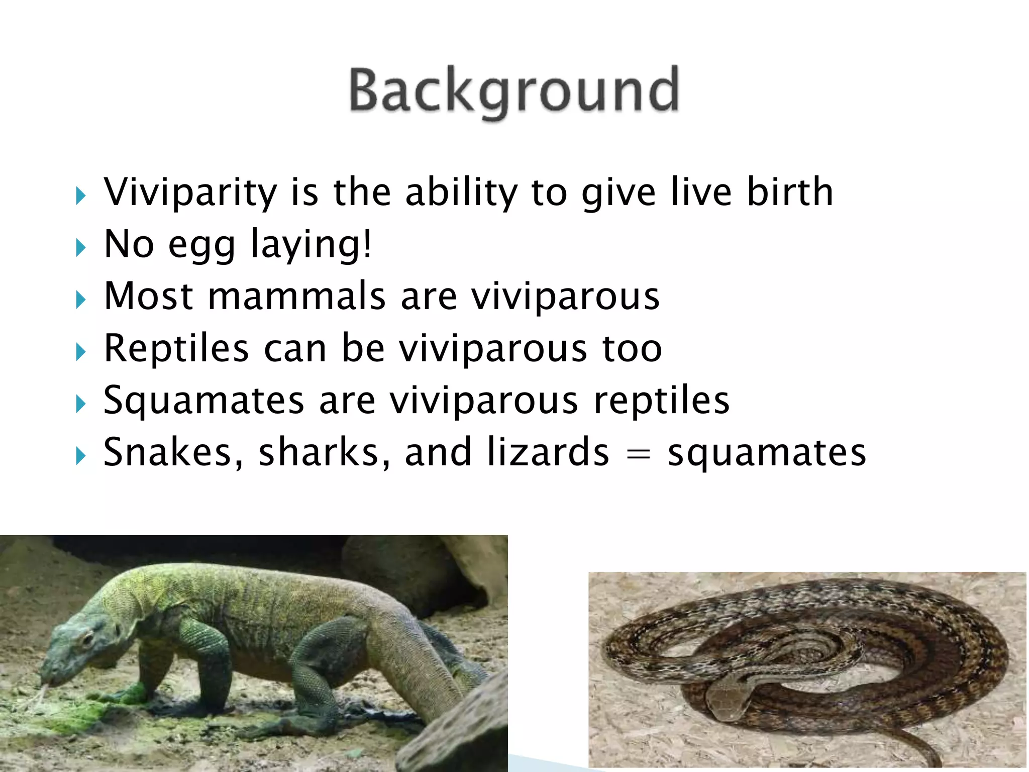 Controlling Factors of Viviparity in Ichthyosaurs | PPT