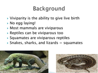 Controlling Factors of Viviparity in Ichthyosaurs | PPT