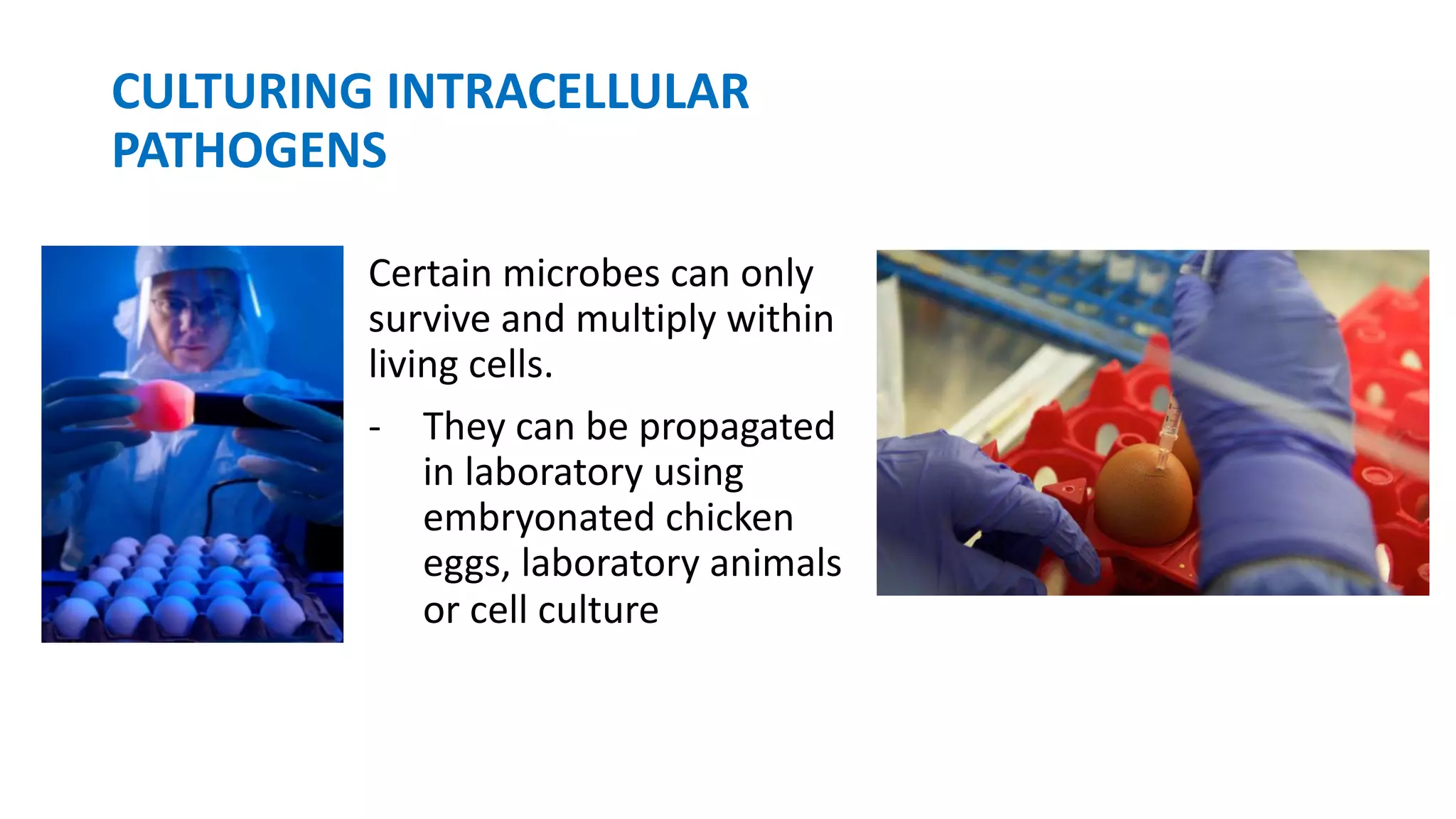 Controlling microbial growth in vitro | PDF