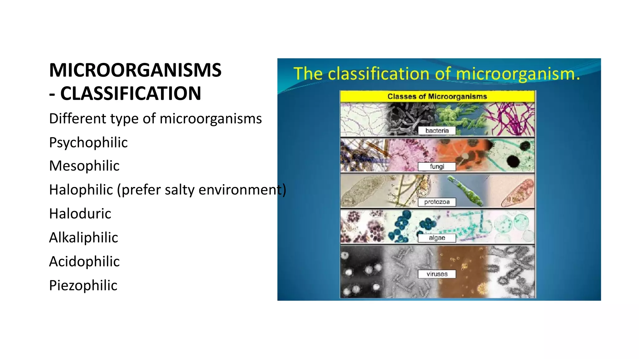 Controlling microbial growth in vitro | PDF