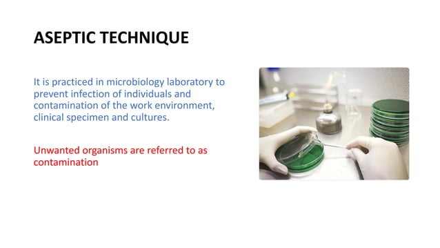 Controlling microbial growth in vitro | PDF | Infectious Diseases ...