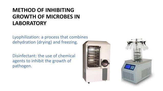 Controlling microbial growth in vitro | PDF | Infectious Diseases ...