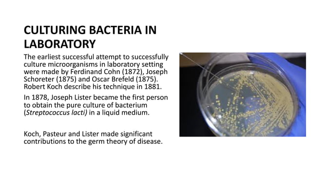 Controlling microbial growth in vitro | PDF | Infectious Diseases ...