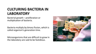 Controlling microbial growth in vitro | PDF