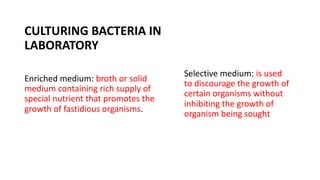 Controlling microbial growth in vitro | PDF
