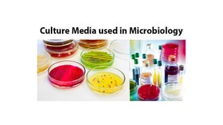 Controlling microbial growth in vitro | PDF