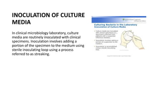 Controlling microbial growth in vitro | PDF