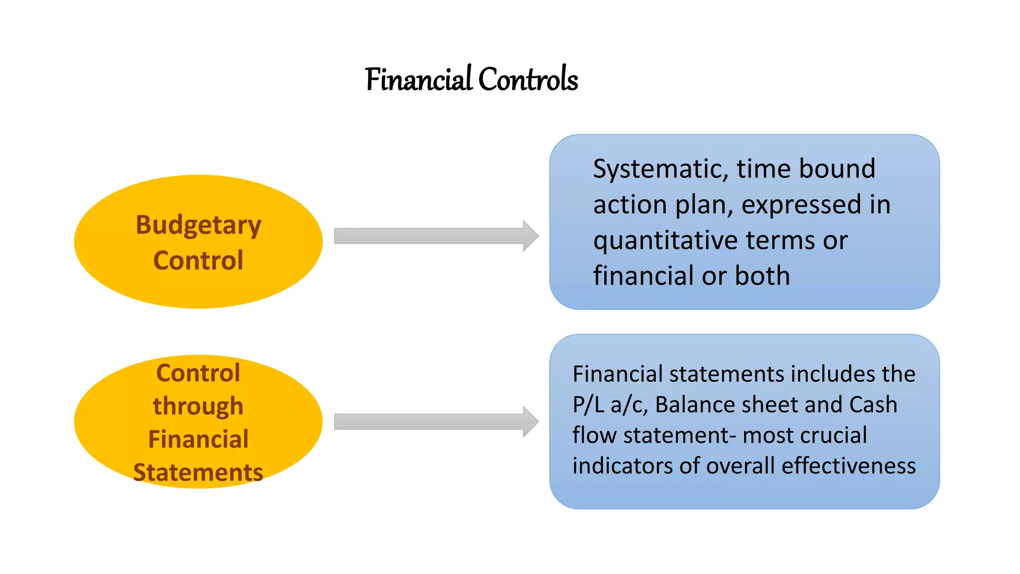 Controlling with financial Tools | PPTX