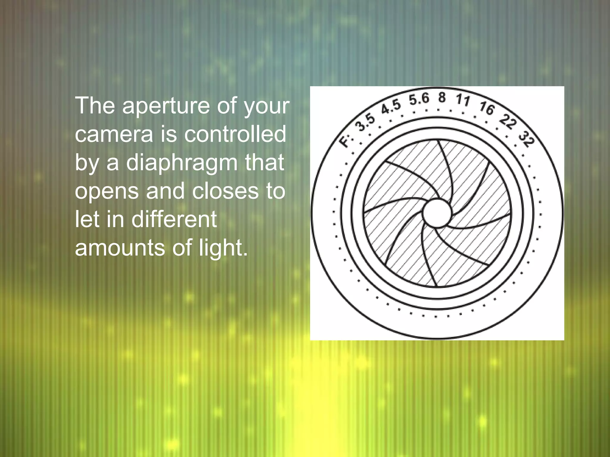 Controlling Your Camera: Apertures | PPT | Photography | Arts and Crafts