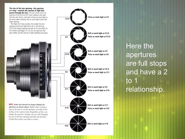 Controlling Your Camera: Apertures | PPT | Photography | Arts and Crafts