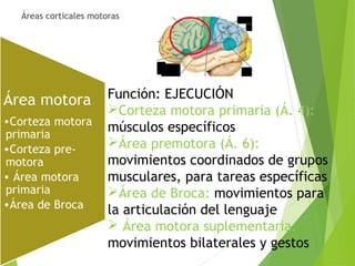 Control motor | PPS