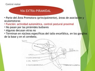 Control motor | PPS