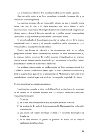 Control nervioso movimiento | PDF