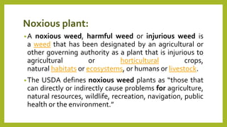 Control noxicus plant by faisal | PPT