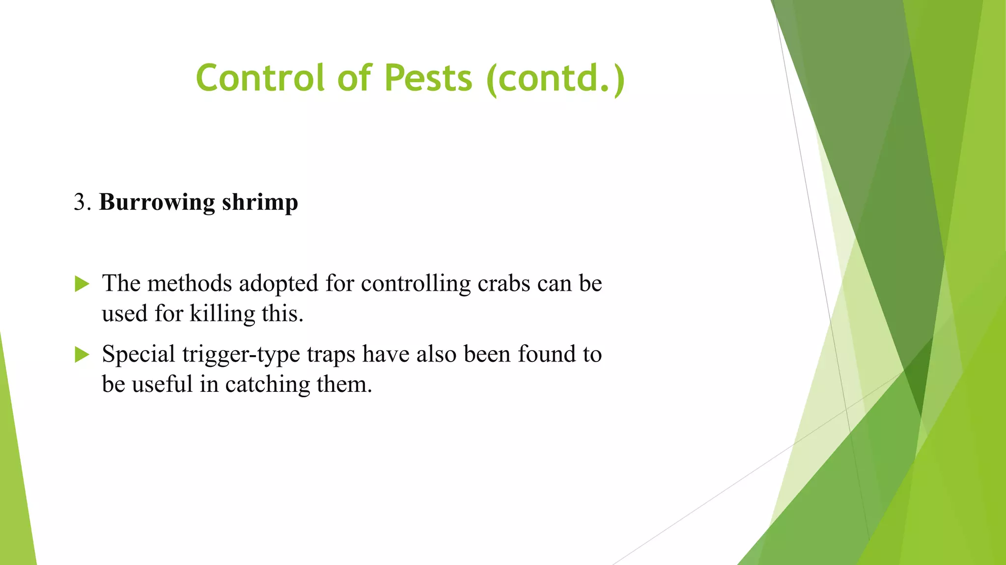 Control of aquatic weed ,predators, weed fish, pest in aquaculture | PPTX