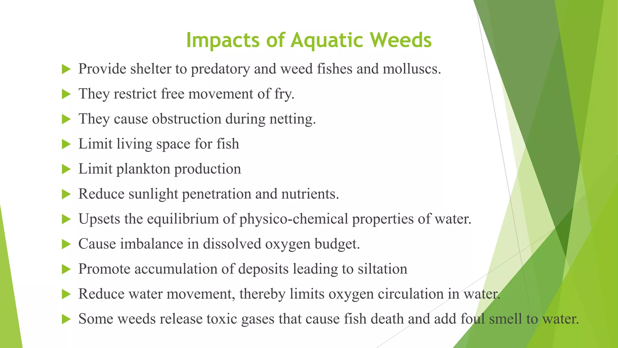 Control of aquatic weed ,predators, weed fish, pest in aquaculture | PPTX