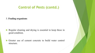 Control of aquatic weed ,predators, weed fish, pest in aquaculture | PPTX