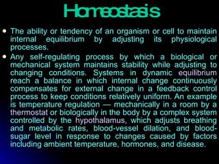 Control Of Body Processes Through The Endocrine System | PPT