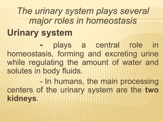 Control of body temperature and water balance (copy) | PPTX