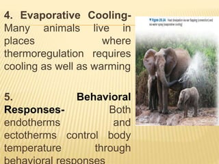 Control of body temperature and water balance (copy) | PPTX
