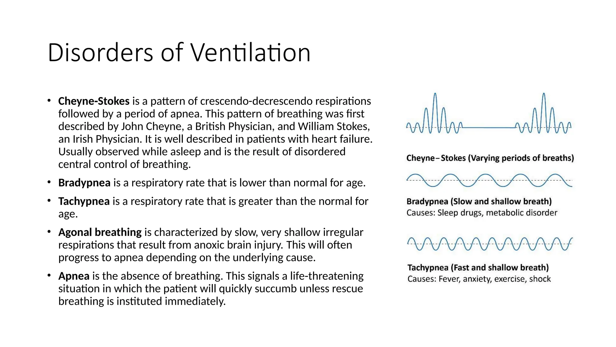 The Control of Breathing Physiology.pptx