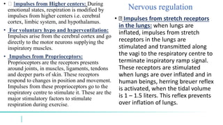 Control of breathing Respiratory System | PDF