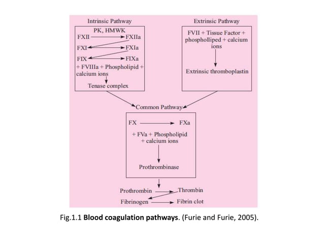 Control of coagulation | PPTX