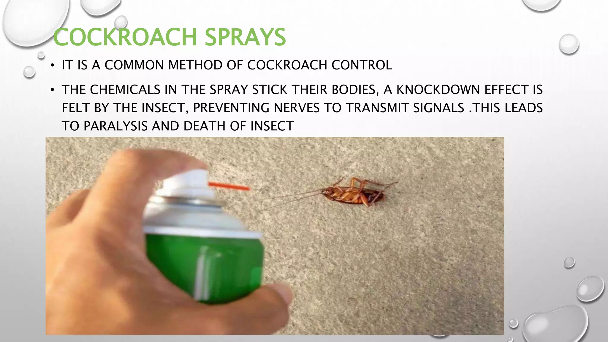 control of cockroaches.pptx