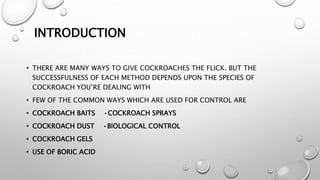 control of cockroaches.pptx