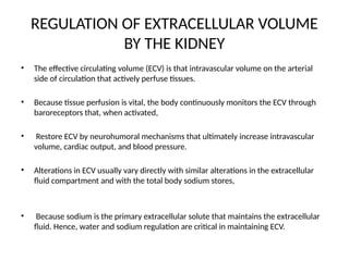 CONTROL OF EXTRACELLULAR FLUID VOLUME BY THE KIDNEYpp.pptx